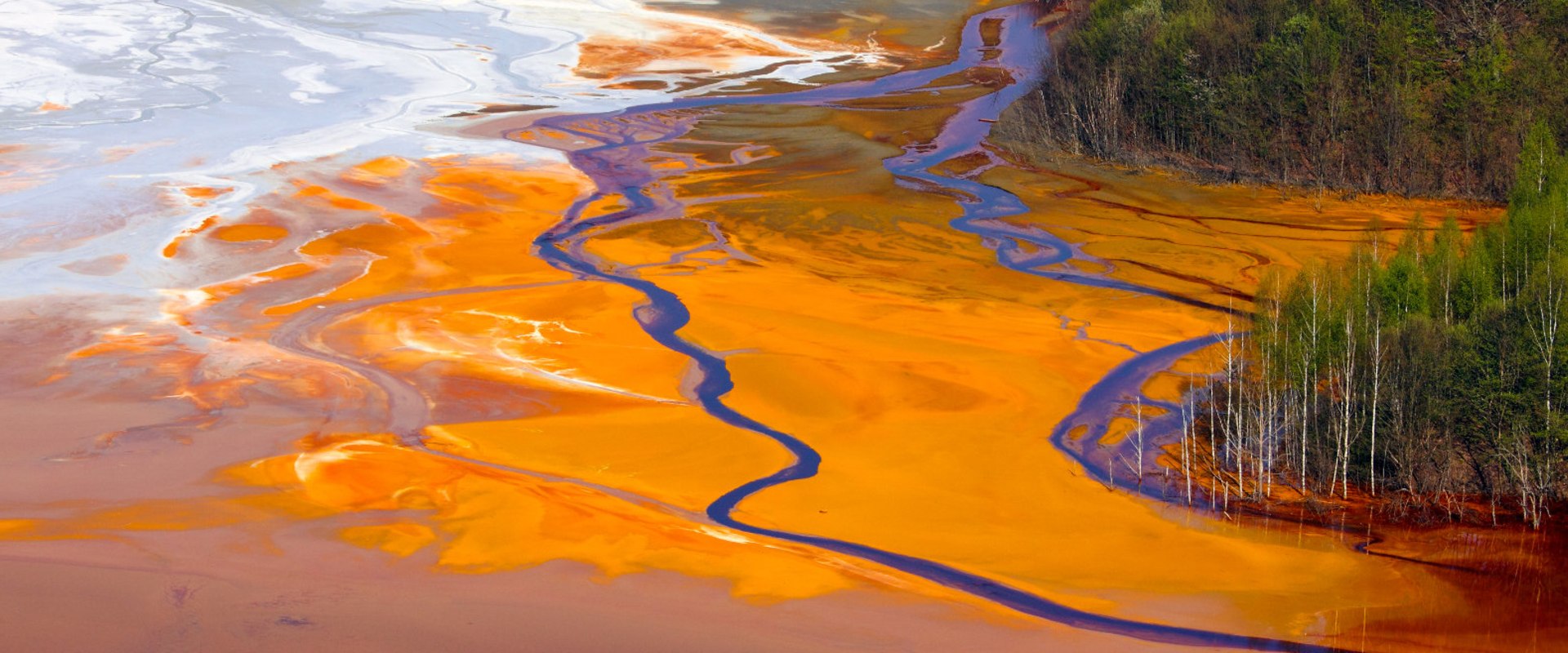 Is gold a toxic waste?